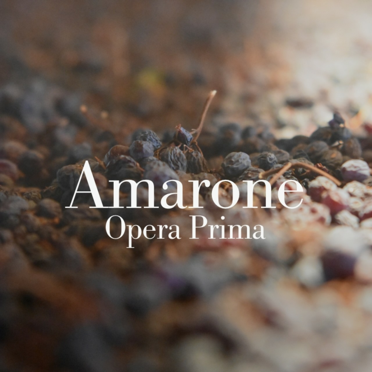 Scopri l’Evento Amarone Opera Prima | Consorzio Valpolicella